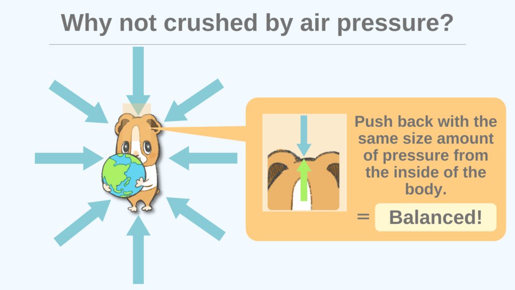 【Familiar questions answered with illustrations!】Why is it that the ...